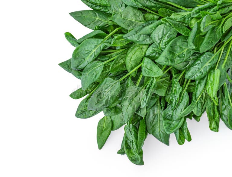 Spinach Leaves Isolated on White Background. Spinach Border. Copyspace ...