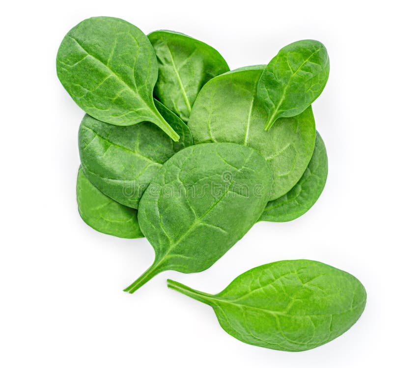 Spinach Leaves Isolated on White Background. Various Spinach Leaf Macro ...