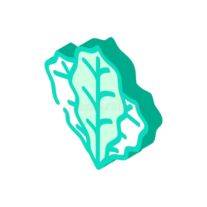 Spinach Leaves Isometric Icon Vector Illustration Stock Vector ... Spinach Leaves Isometric Icon Vector Illustration Stock Vector ...