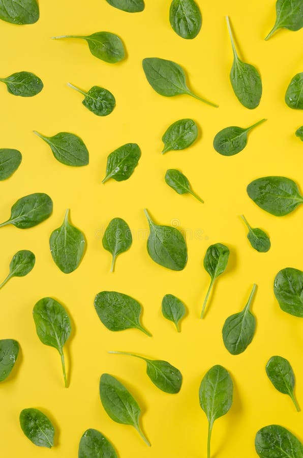 Spinach Leaves Pattern on Yellow Background. Stock Image - Image of ...