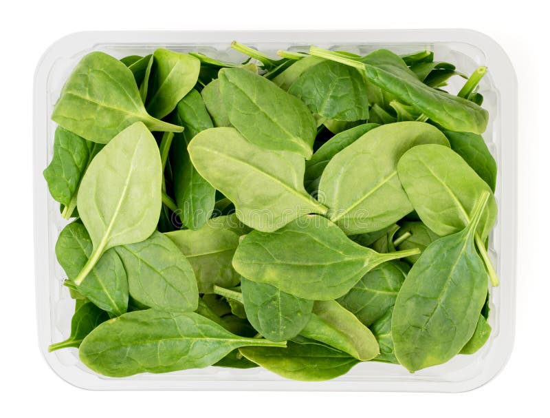 Spinach Leaves in Plastic Box on a White. the Form of the Top. Stock ...