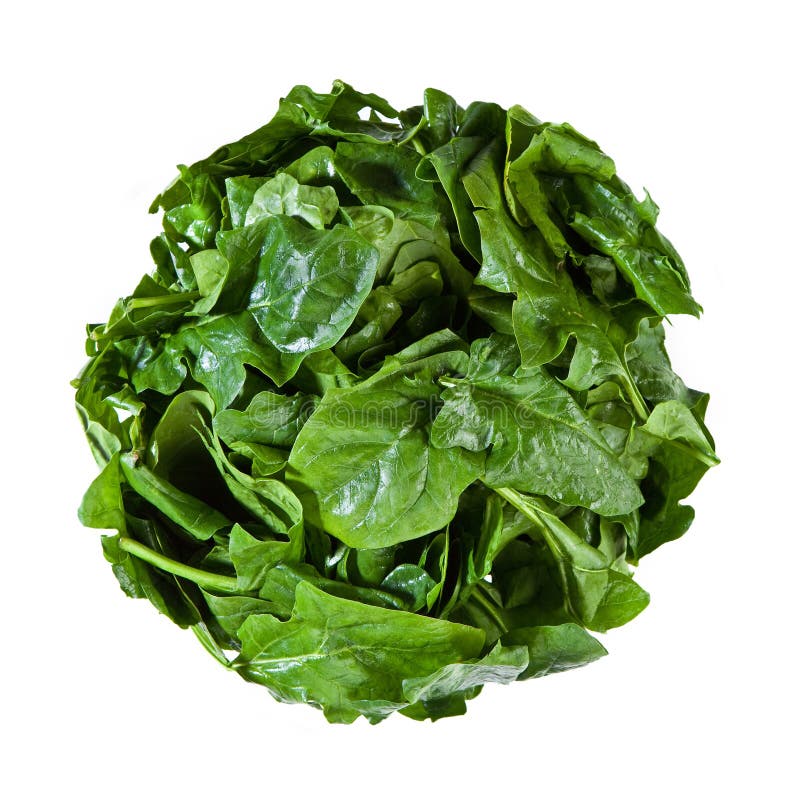 Spinach Leaves, Spinacia Oleracea, Spinaci Stock Image - Image of fresh ...