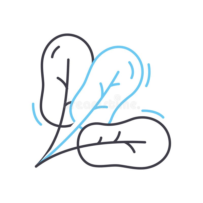 Spinach Line Icon, Outline Symbol, Vector Illustration, Concept Sign ...