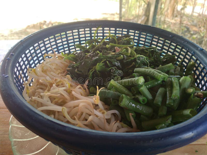 Spinach, Long Beans, Bean Sprouts in the Process of Being Boiled. Stock ...