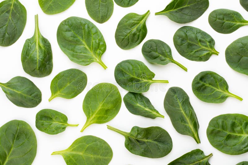Spinach Pattern Background on White. Top View Stock Photo - Image of ...