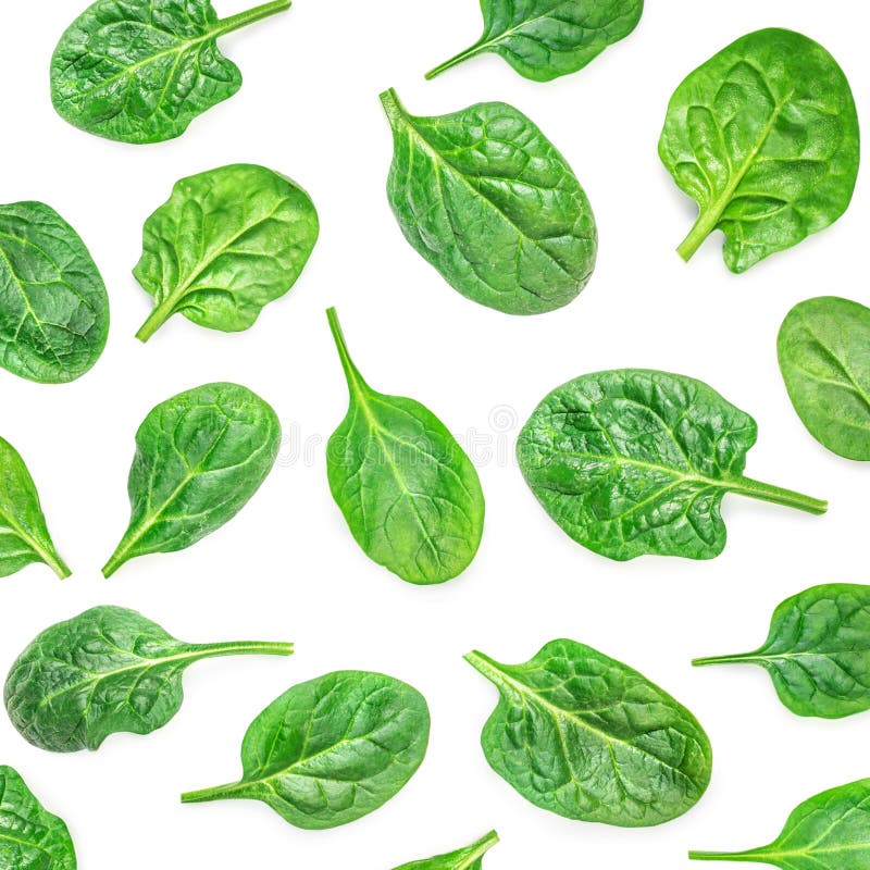 Spinach Pattern. Fresh Spinach Baby Leaves Isolated on White Background ...