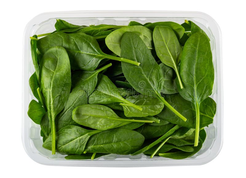Spinach in Plastic Container Isolated on White Background. Top View ...