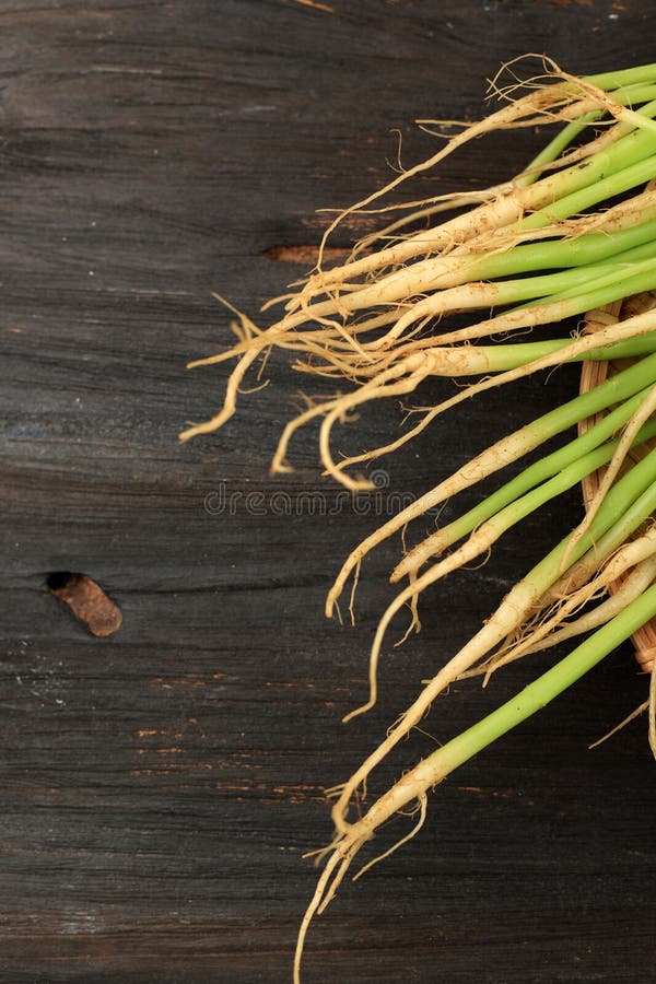 Spinach Root on Black Wooden Table Stock Image - Image of salad, root ...