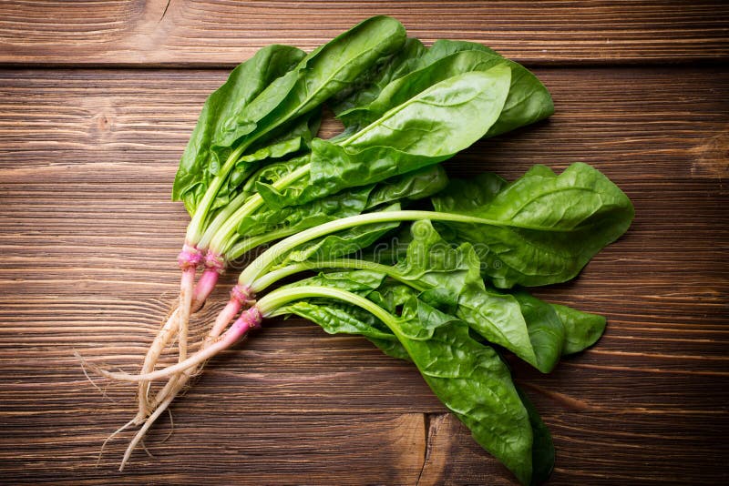 Spinach. stock photo. Image of background, leafy, healthy - 44778520