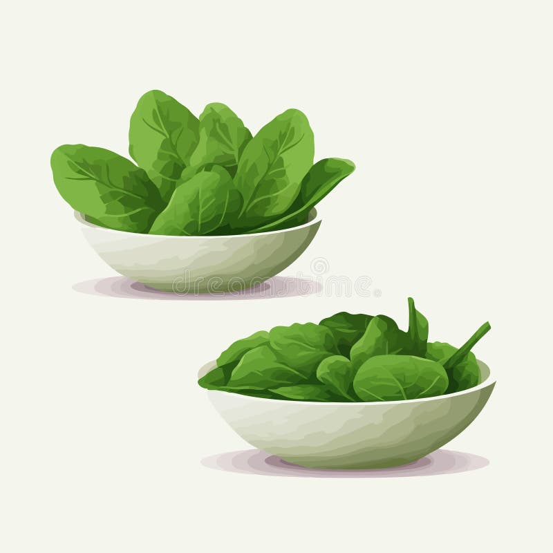 Spinach Vector Flat Minimalistic Isolated Illustration Stock Vector ...