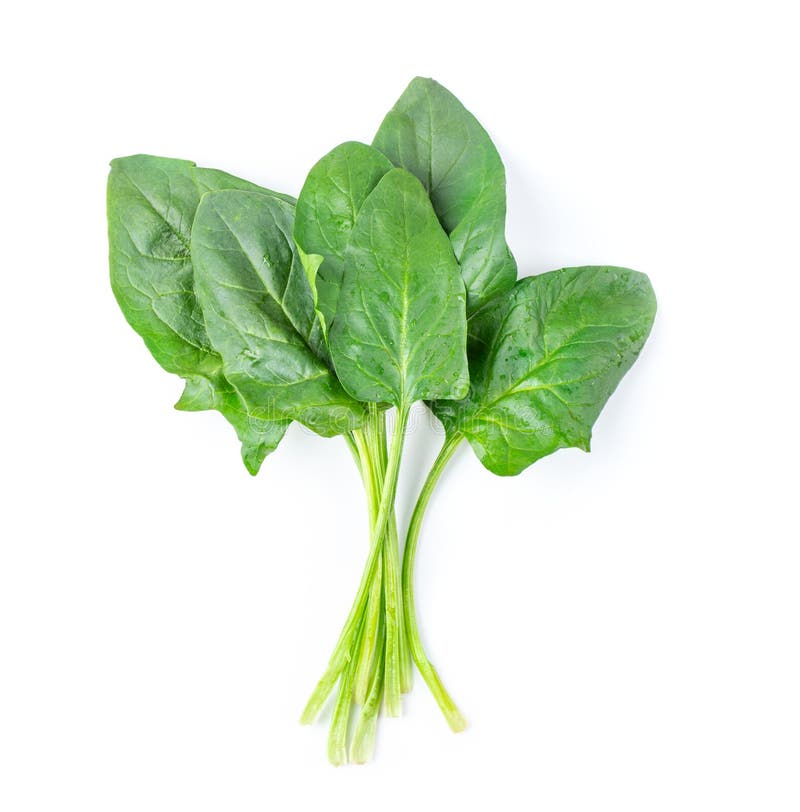 Spinach on White Background. Stock Image - Image of freshness, group ...