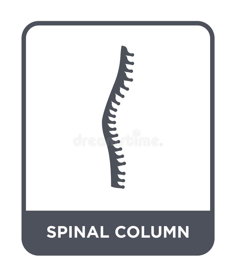 Spinal Icon Stock Illustrations – 4,140 Spinal Icon Stock Illustrations ...