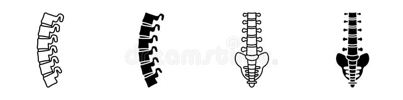 Spinal column icon vector stock vector. Illustration of orthopedic ...