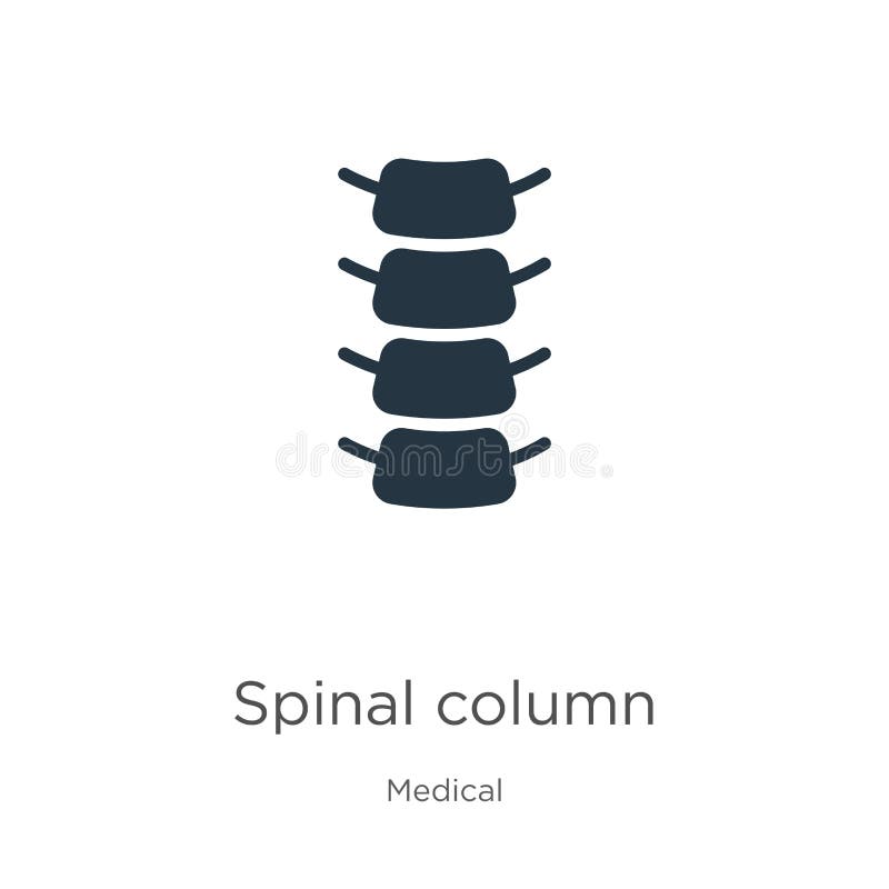 Spinal Column Icon Vector. Trendy Flat Spinal Column Icon from Medical ...