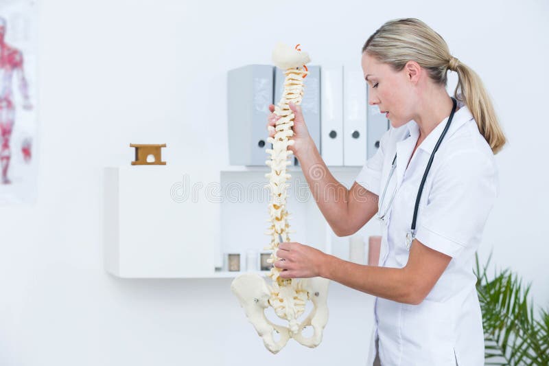 Medical Healthcare Educational Professional Anatomy Scientific Clinic ...