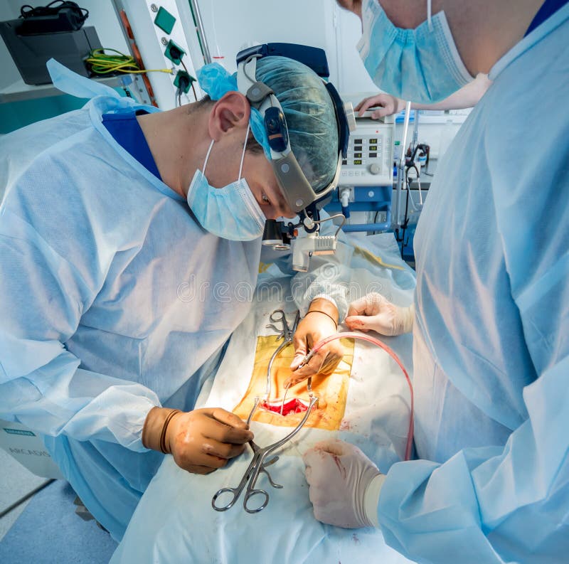 Spinal Surgery. Group of Surgeons in Operating Room with Surgery ...