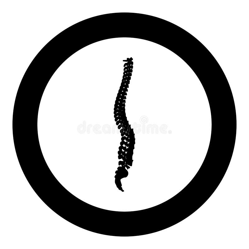 Spinal Vertebral Column Spine Backbone Icon in Circle Round Black Color ...