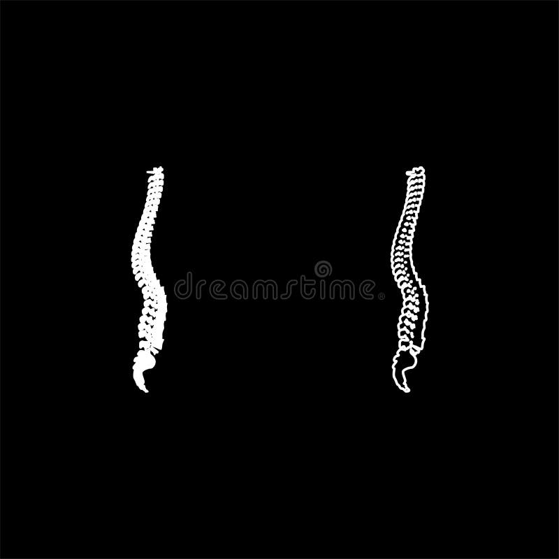 Spinal Vertebral Column Spine Backbone Icon White Color Vector ... Spinal Vertebral Column Spine Backbone Icon White Color Vector ...