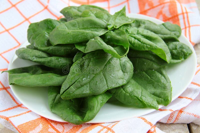 Spinat stockfoto. Bild von knoblauch, zwiebel, mahlzeit - 16083740