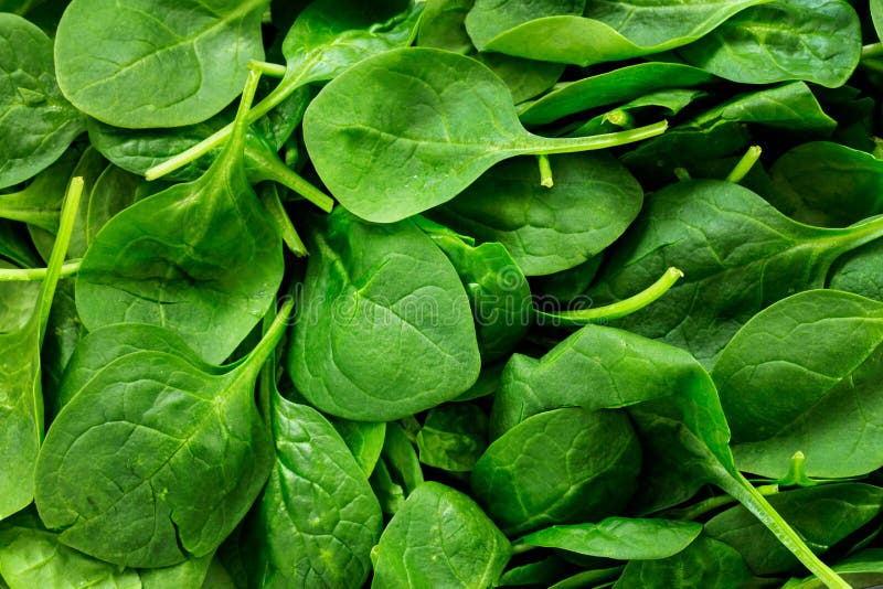 Spinat stockfoto. Bild von betrieb, spinat, frisch, makro - 39070208