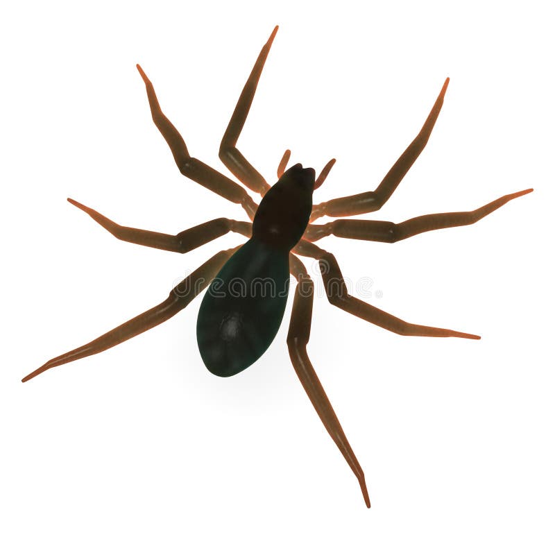 Spindel stock illustrationer. Illustration av monster - 11127373