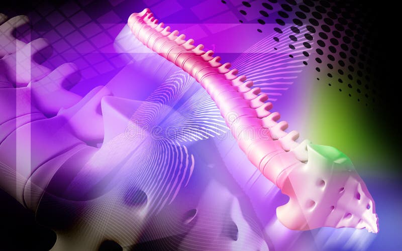 Color Spine Stock Illustrations – 7,584 Color Spine Stock Illustrations ...