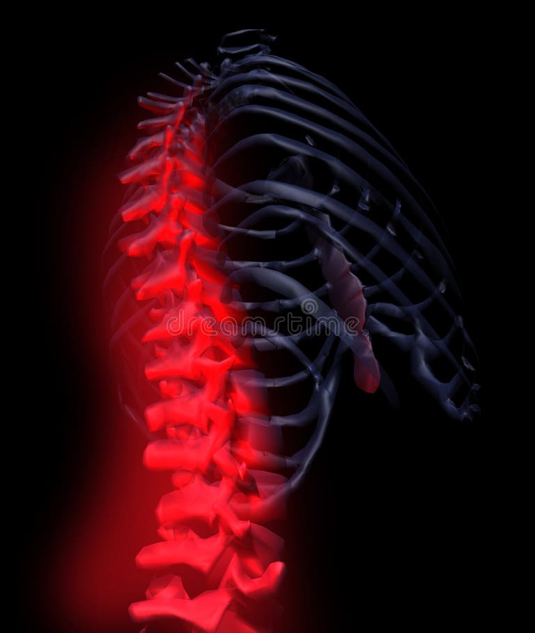 Spine Black Stock Illustrations – 13,270 Spine Black Stock ...