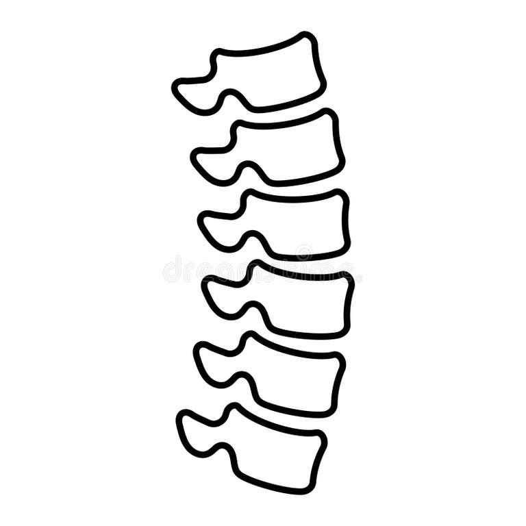 Spine Bones Icon in Linear Style. Stock Vector - Illustration of spinal ...