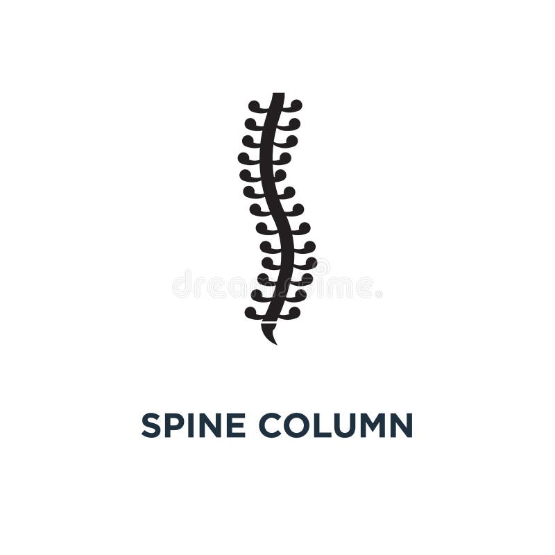 Spine Column Icon. Simple Element Illustration Stock Vector ...