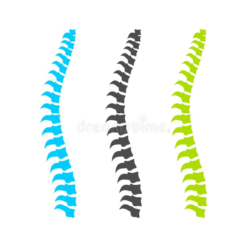 Spine Graphic Set Design stock vector. Illustration of logo - 122166310