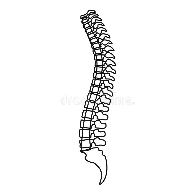 Spine icon, simple style stock vector. Illustration of body - 121673497