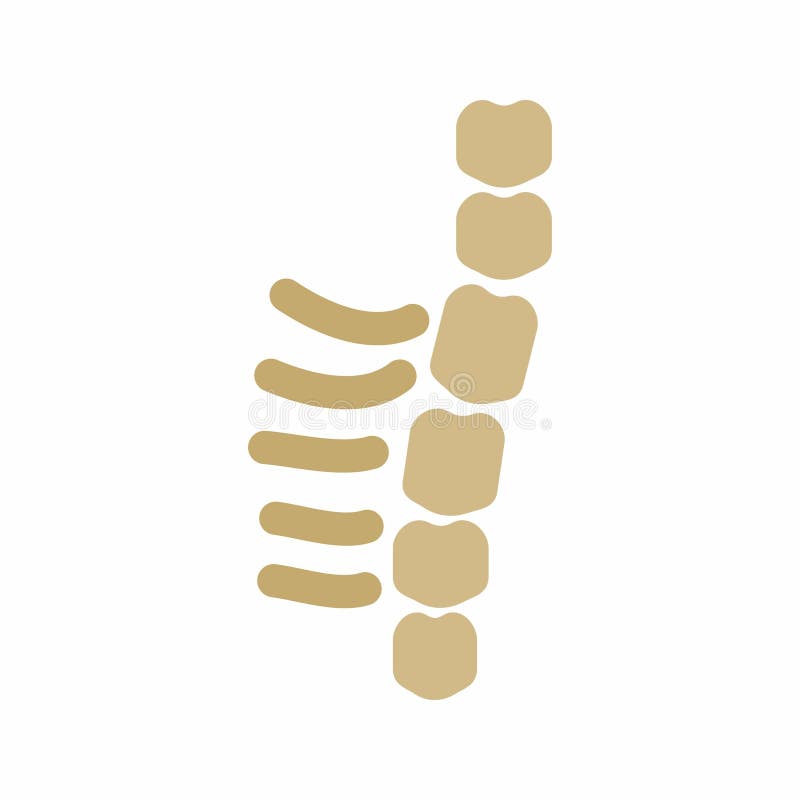 Spine Icon vector image. stock vector. Illustration of medical - 373529957