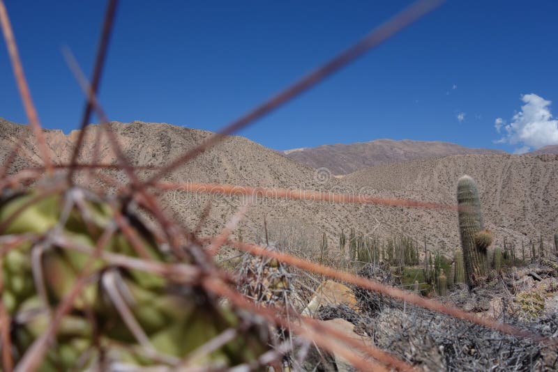 Spines - Pucara De Tilcara - Jujuy, Argentina Stock Image - Image of ... Spines - Pucara De Tilcara - Jujuy, Argentina Stock Image - Image of ...