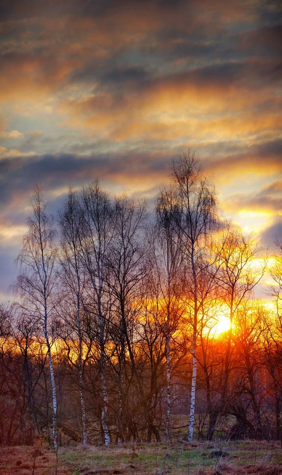 Sping sunset stock photo. Image of landscape, fall, panorama - 19389226