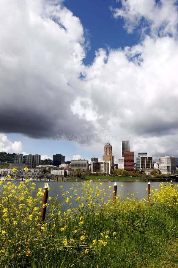 Spingtime in Portland, Oregon Stock Photo - Image of weather, season ...