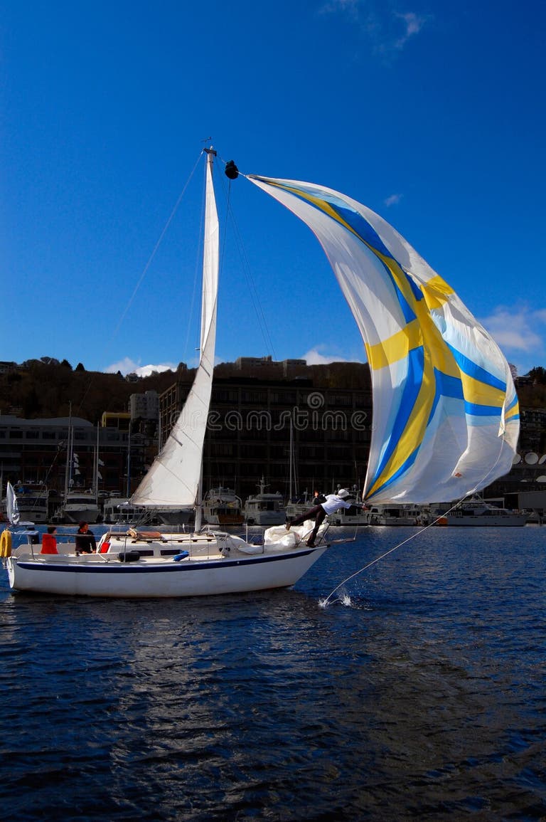 198 How To Make Sea Stock Photos - Free & Royalty-Free Stock Photos ...