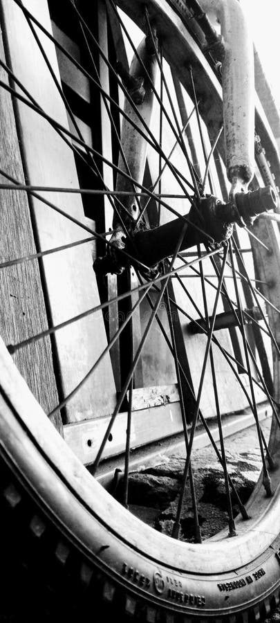 Spinning bicycle wheels stock photo. Image of - 327702018