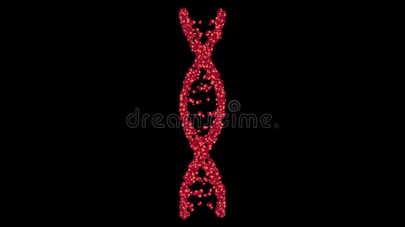 Spinning 3d DNA Symbol with Red Spheres on Plain Black Background Stock ...