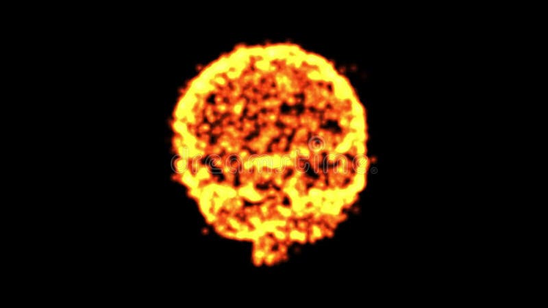 Spinning 3d Fire Egg Motion Graphics with Plain Black Background Stock ...