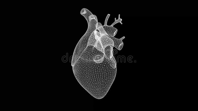 Spinning 3d Human Heart Motion Graphics with Plain Black Background ...