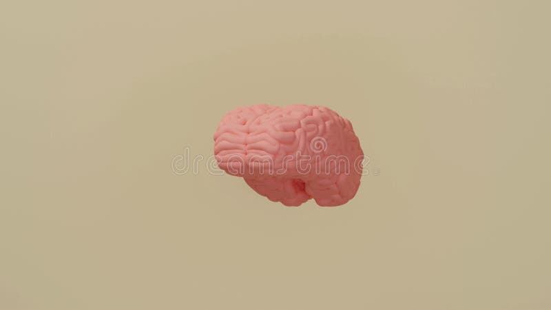 Spinning Human Brain Against a Pastel Background, 3d Render, 3d ...