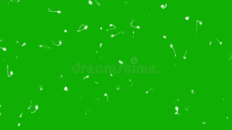 Spinning Magic Sparks Motion Graphics with Green Screen Background ...