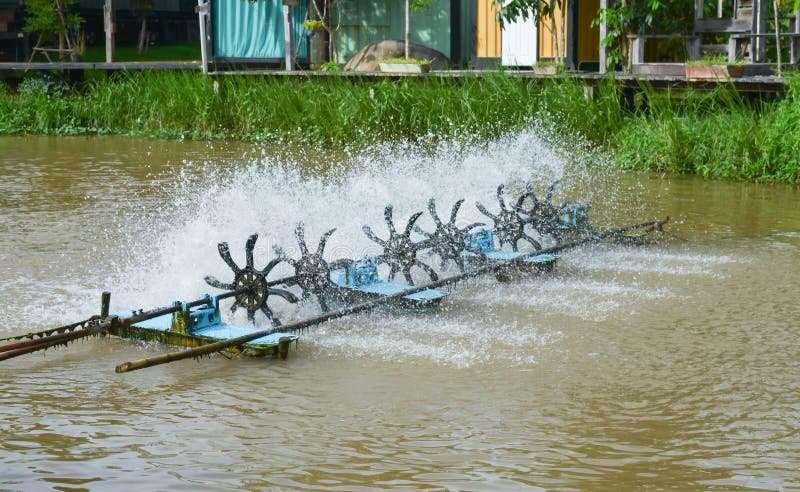 Spinning Paddle Wheel Aerators Stock Photo - Image of wheel, pond ...