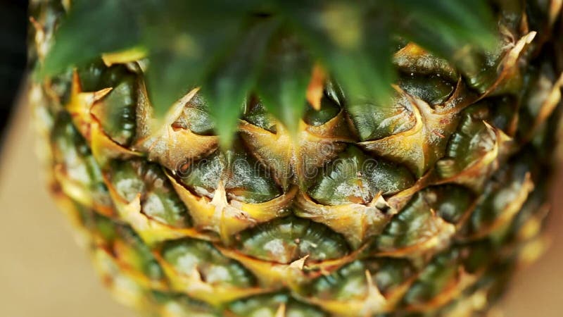 A Spinning Pineapple stock footage. Video of spiky, rapidly - 369052466