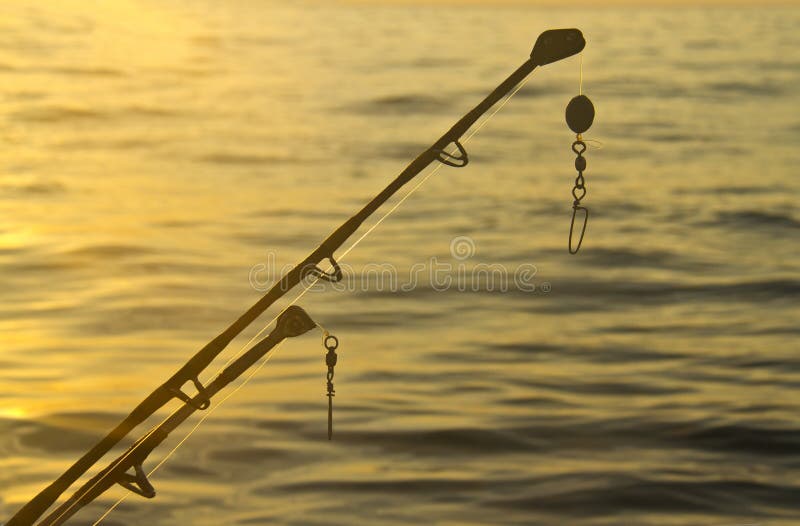 Spinning Rods in Front of Water Stock Photo - Image of game, relax ...