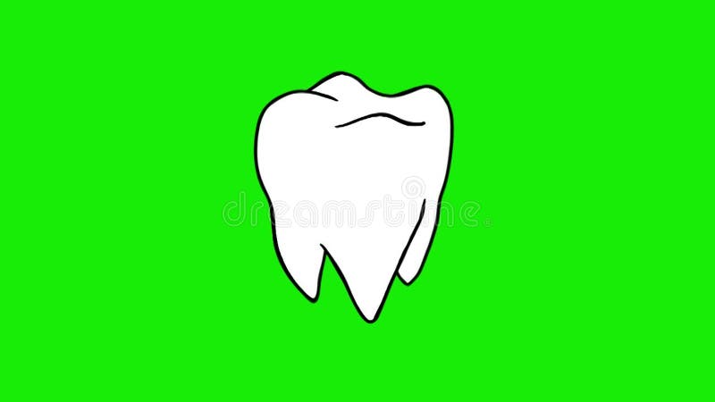 Spinning Tooth on Green Screen Animation Stock Footage - Video of ...