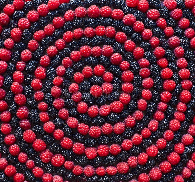 Spiral of Berry. Raspberry and Mulberry Stock Image - Image of mulberry ...