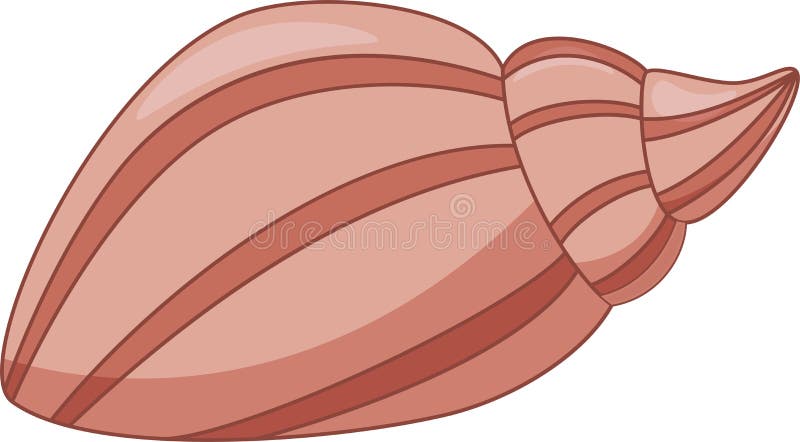 Spiral Cartoon Wide Shell with Thin Lines Stock Vector - Illustration ...