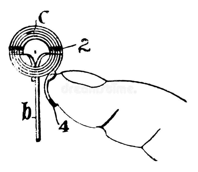 Conducting Coil Stock Illustrations – 5 Conducting Coil Stock ...