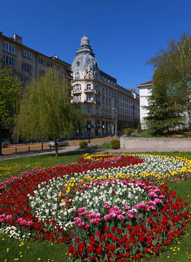 Spiral Flowers - Flowers Sofia Stock Image - Image of architecture ...